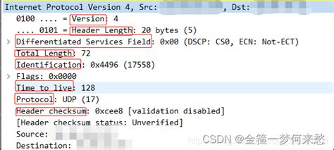 ipv4、ipv6、udp、tcp 数据报首部格式分析 ipv4数据报源端口 csdn博客