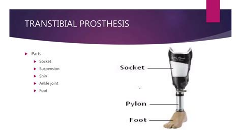 Lower Limb Prosthesis Hip Knee Pptx