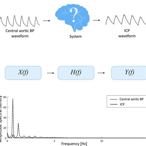 The Non Invasive Icp Waveform Estimated From The Intra Patient Approach Download Scientific