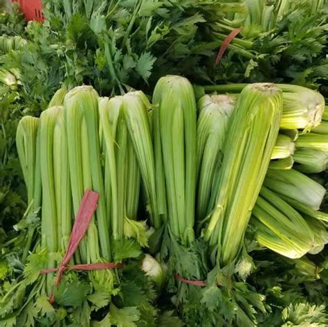 Frozen Celery Dice Iqf Celery Dices 1 1cm Celery And Celery Dice