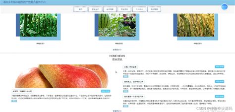Nodejs毕业设计面向乡村振兴服务的产教融合服务平台（express源码调试）产教融合平台源码 Csdn博客