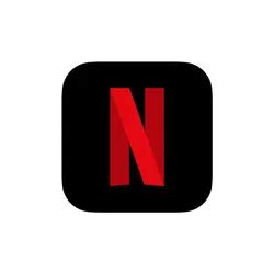 Купить подписку Netflix по низкой цене от 130₽ с гарантией в России — GGSel
