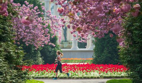 전세계의 아름다운 봄풍경 속으로