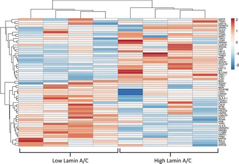 Proteomic Heat Map Of Identified Surface Proteins For Low And High