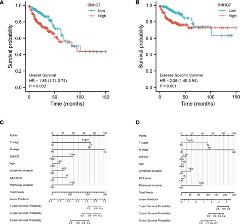 Frontiers Long Noncoding RNA SNHG Is A Diagnostic And Prognostic Marker For Colon Adenocarcinoma
