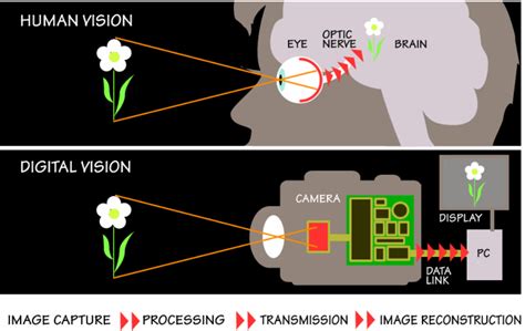 Qt Qml编程学习之心得：颜色编码方案rgb Yuv Hsi等（八）