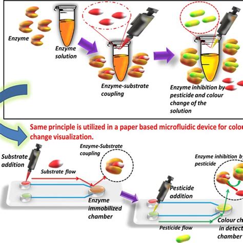 Schematic Diagram Of Pesticide Detection Using An Electrochemical