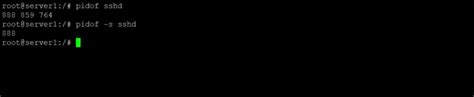 Linux Pidof Command Tutorial For Beginners Examples