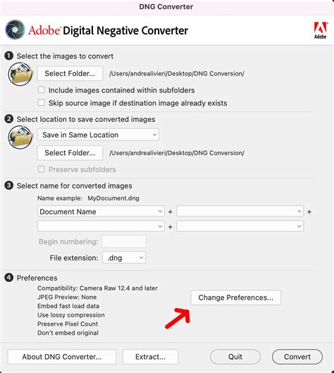 Raw Vs Dng Which File Format Should You Use — Andrea Livieri