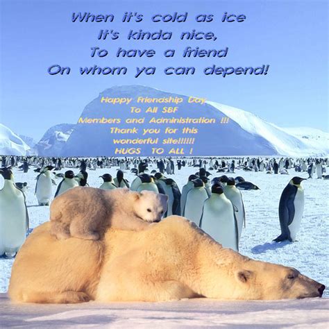 Penguin And Polar Bear Hug