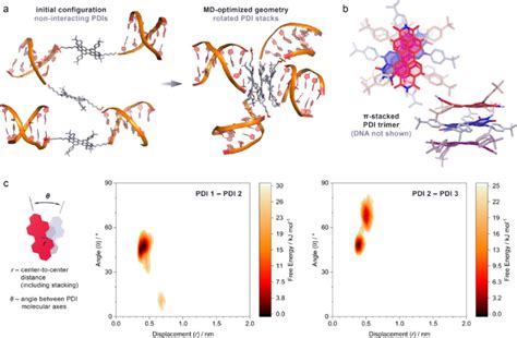 Structure Simulations Of A Pdi Trimer Using Atomistic Molecular Download Scientific Diagram
