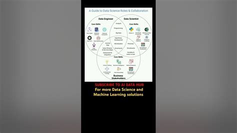 a guide to data science roles and collaboration datascience