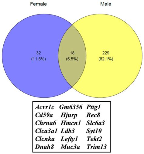 Sex Specific Whole Transcriptome Analysis In The Cerebral Cortex Of Fae