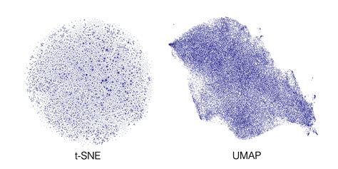 why you should use topological data analysis over t sne or umap
