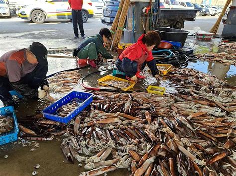 Breathtaking Ulleungdo Dokdo Island Trip During Chuseok Adventurekorea