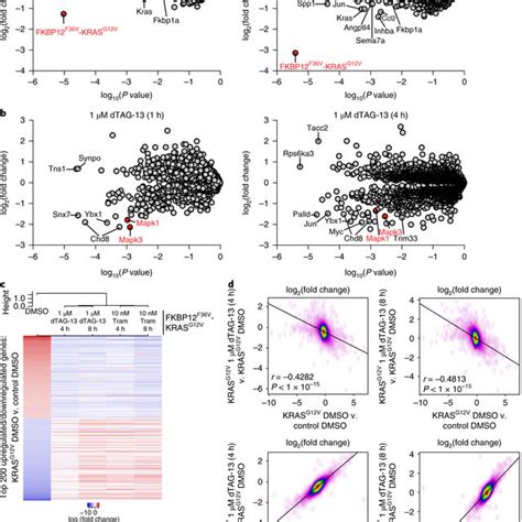 The Dtag System For Immediate And Target Specific Protein Degradation