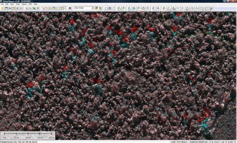 Rgb Composition Of Multitemporal Sar Orthoimages Showing The Selective