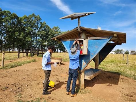 Embrapa E Taggen A Evolução Do Projeto De Iot Para Monitoramento Dos Animais Em Tempo Real