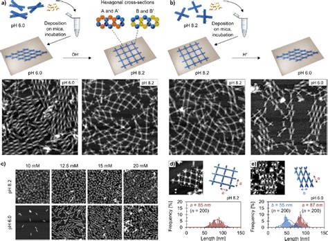 Assembly Of Ph Responsive And Reconfigurable Two Dimensional 2d Dna