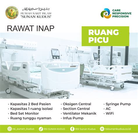 Picu Nicu