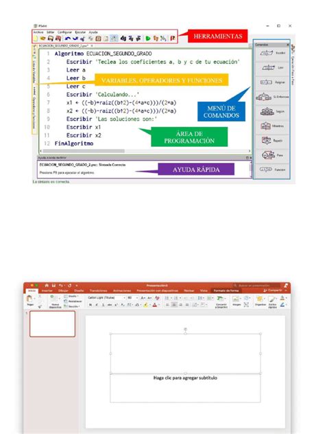 Pseint Pdf