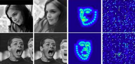 Face Parsing Use Cases And Open Datasets