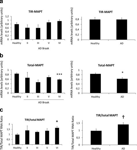 Tir Mapt Rna Expression In The Brains Of Ad Patients A Measurement Of Download Scientific