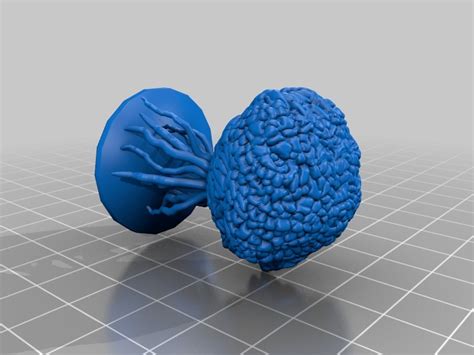 Free 3d File Grell Token 👹 ・3d Printable Design To Download・cults