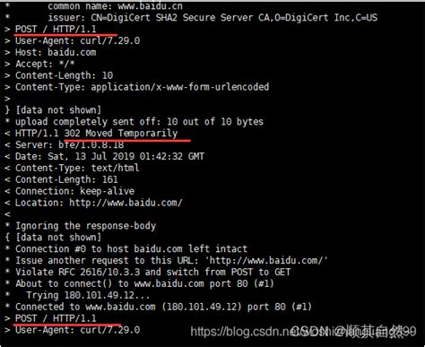 curl命令详解 curl结果输出到文件 csdn博客