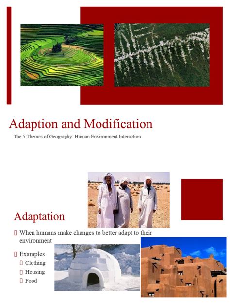 Adaptation And Modification Pdf Law Science And Mathematics