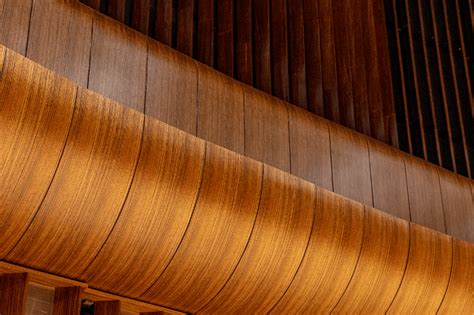 Curved Architecture And Design Examples To Inspire Your Project