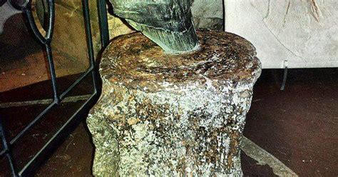 A Megalodon Tooth Stuck In A Whale Vertebrae This Is The Most Badass Fossil In Existence Imgur