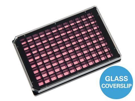 24 Well Microplate For Membrane Inserts Transwell Cell Culture