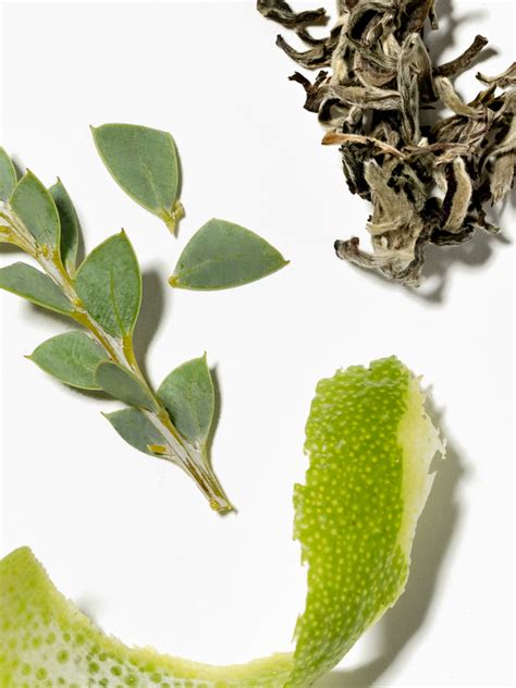 Dew ﻿home Fragrance Diffuser Oil Powered By Pura