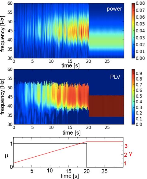 Spectral Distribution And Phase Locking Value Plv In A Simple Spatial