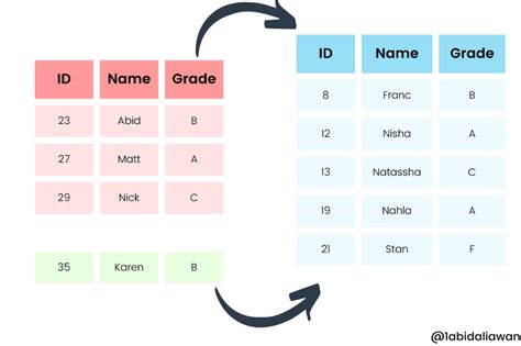 Appending Rows In Python A Simple Guide