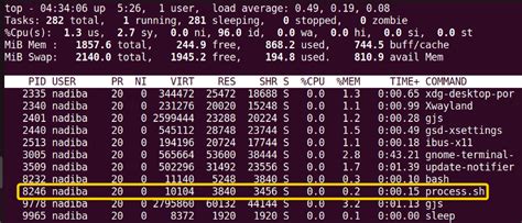 Check If A Process Is Running In Bash Methods LinuxSimply