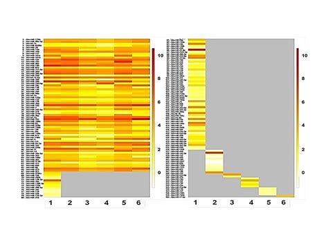 Bioinformatics Software And Tools Databases Software List And Training For Biologists