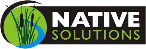 Forestry Landscaping Forestry Planting Native Trees Nz