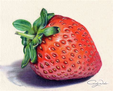 Strawberry Drawing With Colour At Norma Friedland Blog