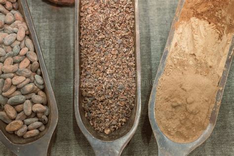 cacao nibs cocoa bean and chocolate powder stock image image of nibs