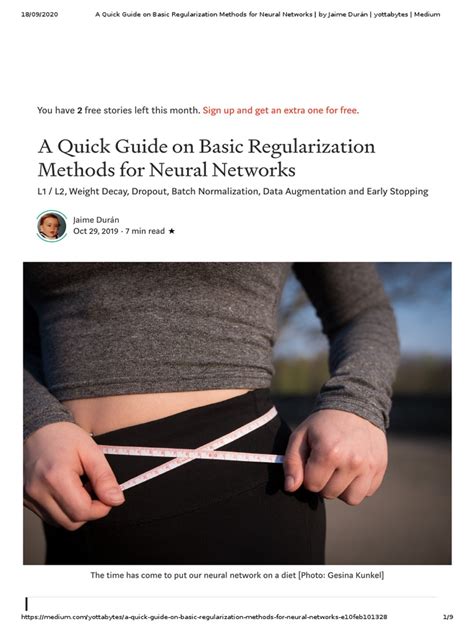 a quick guide on basic regularization methods for neural networks by