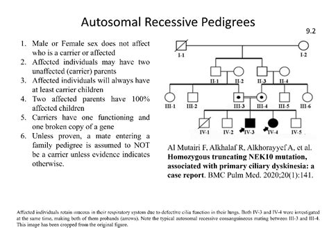 Genetics Textbook — Decisionlearning