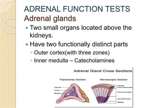 Adrenal Function Tests 3 Pptxwhfbdqbfwwfjgwngnegenhndngssfb Pptx