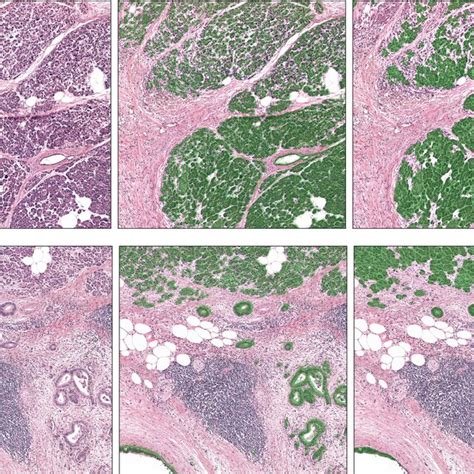 Overview Of The Four Different Dataset Used In This Study Download
