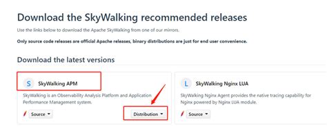 使用 Docker 部署 Spring Boot 并接入 Skywalking 技术交流 Spring 中文论坛