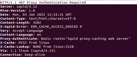 setting up squid as forward proxy with basic authentication egirna