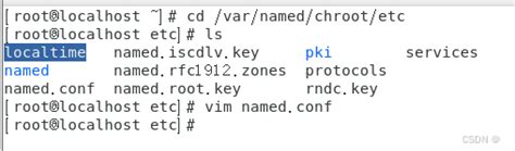 linux配置dns服务器 小白版教程！ linux添加dns地址 csdn博客