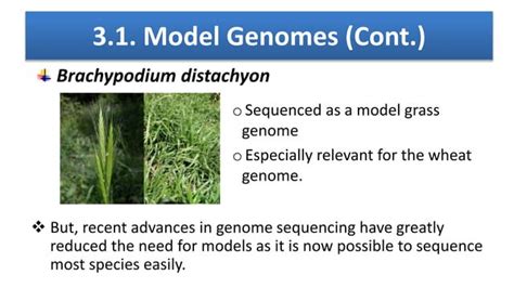 Genome Sequencing Ppt Pptx Agriculture Industries