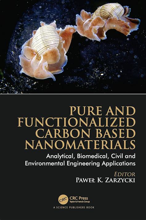 Pure And Functionalized Carbon Based Nanomaterials Analytical Biomedical Civil And